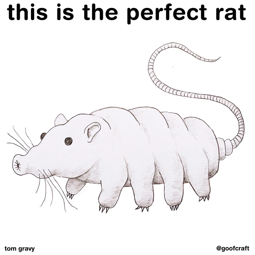This is the Perfect Rat - Ratigrade - Surreal Rat Art 4” Vinyl Sticker ...
