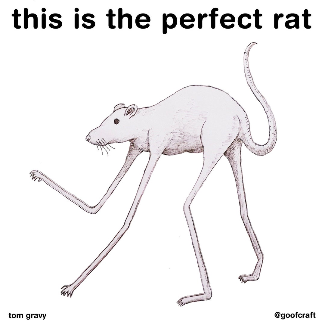 This is the Perfect Rat - Dali Rat Sticker - Surreal Rat Art 3.5” Vinyl ...