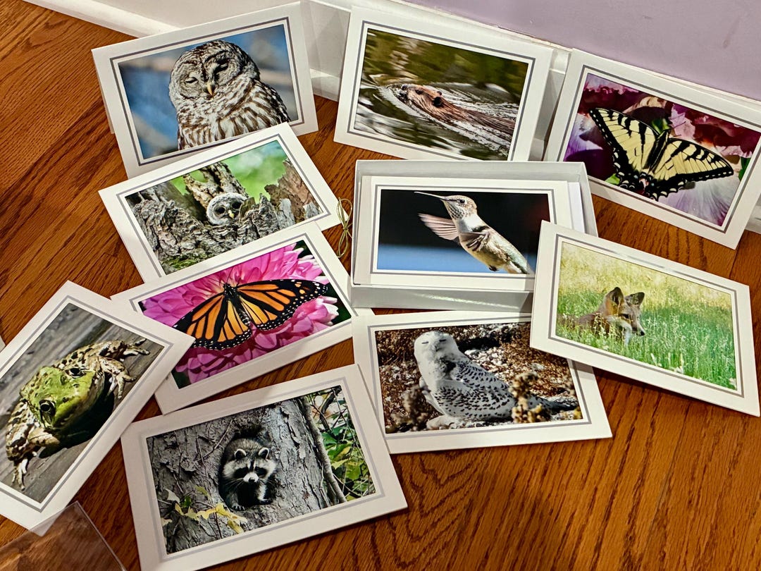 Greeting Cards Blank Pack of 10 - Etsy