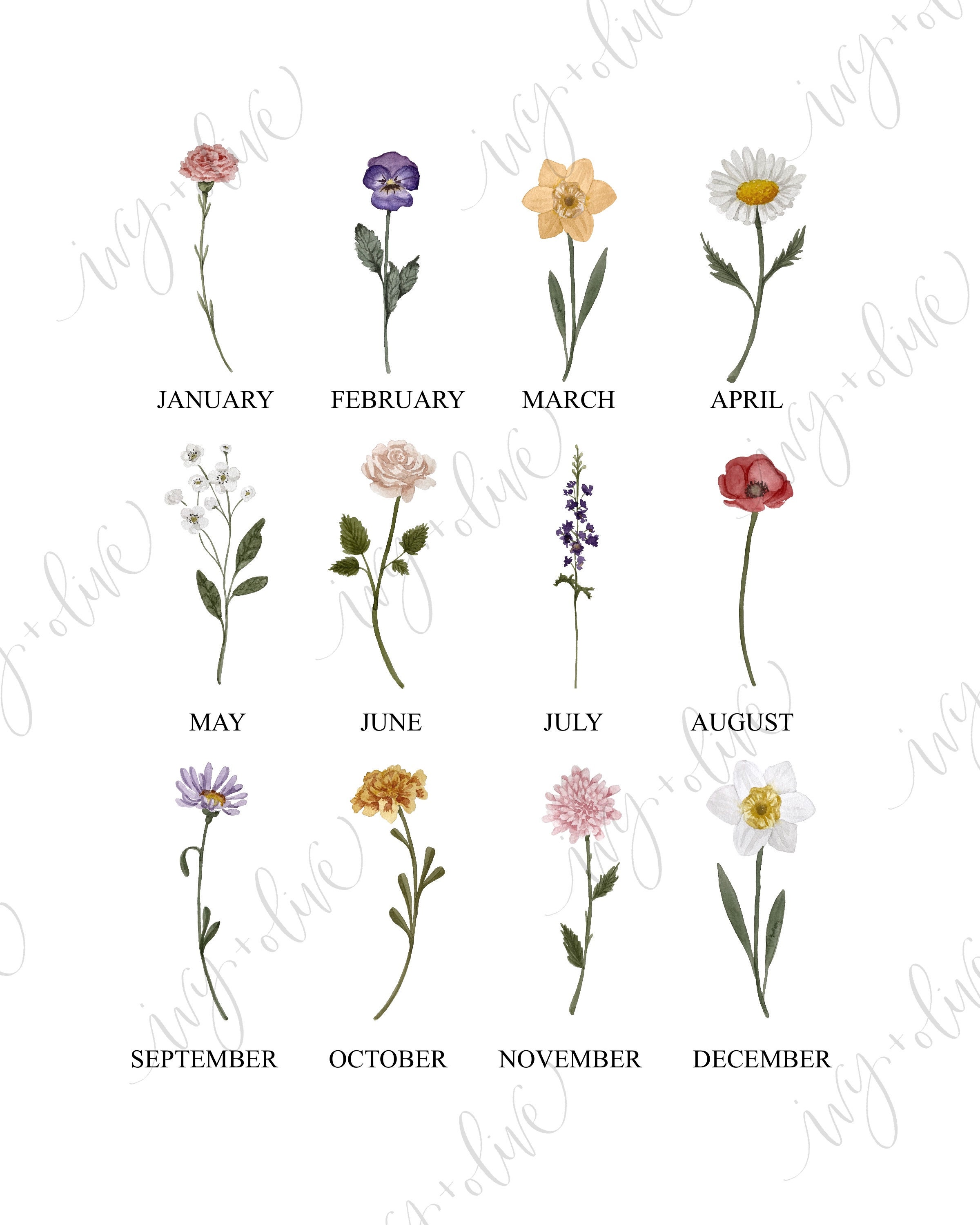 2 Flower, Birth Month Bouquet, Digital File, Watercolor Artwork, Custom ...