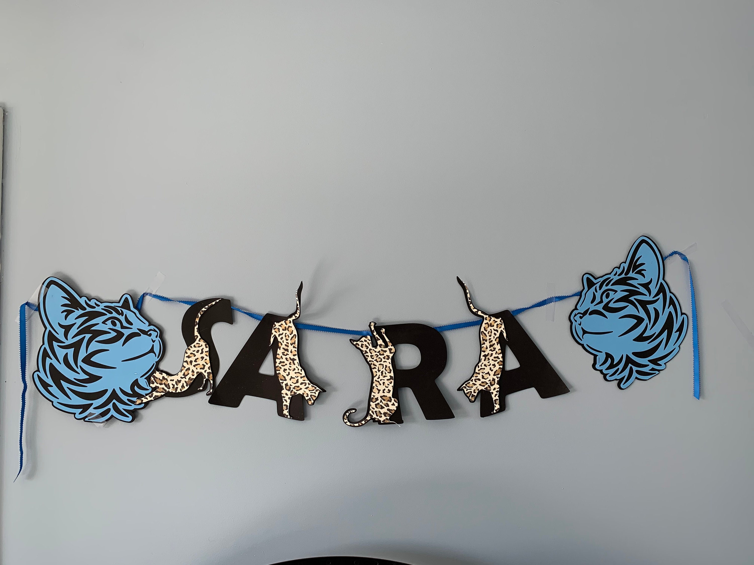 Cat Birthday Banner/crazy Cat Lady Banner/cat Banner - Etsy