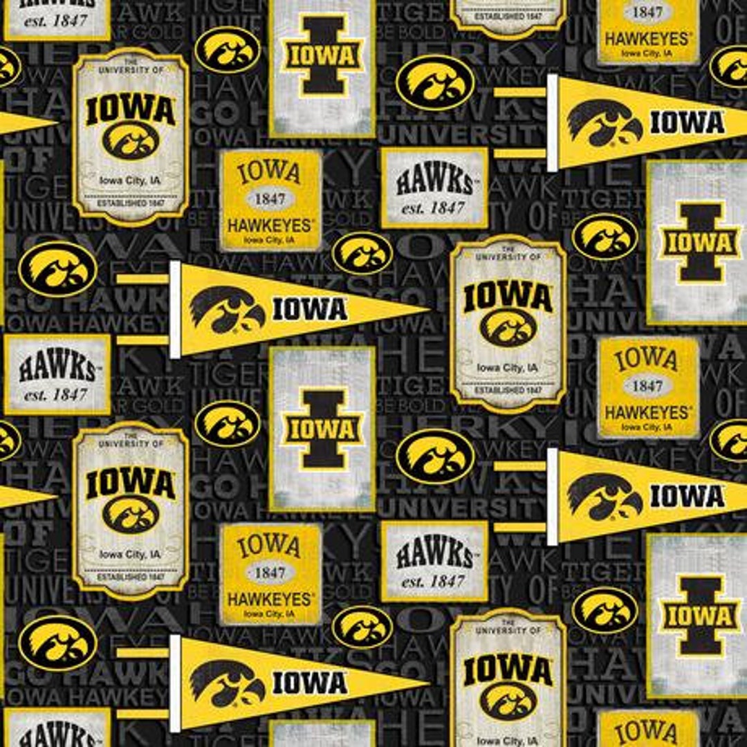 University of Iowa Hawkeye Fabric Vintage Pennant by Sykel - Etsy