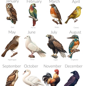 Custom Birth Bird Digital Print - Birth Month Birds - Family Birth ...