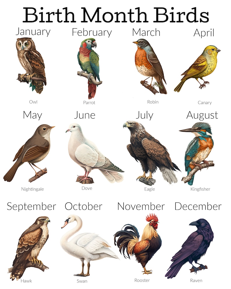 Custom Birth Bird Digital Print Birth Month Birds Family - Etsy