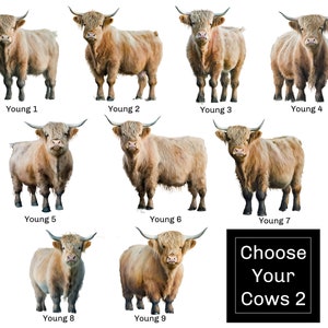 Custom Digital Highland Cow Family Print, Custom Family Portrait ...