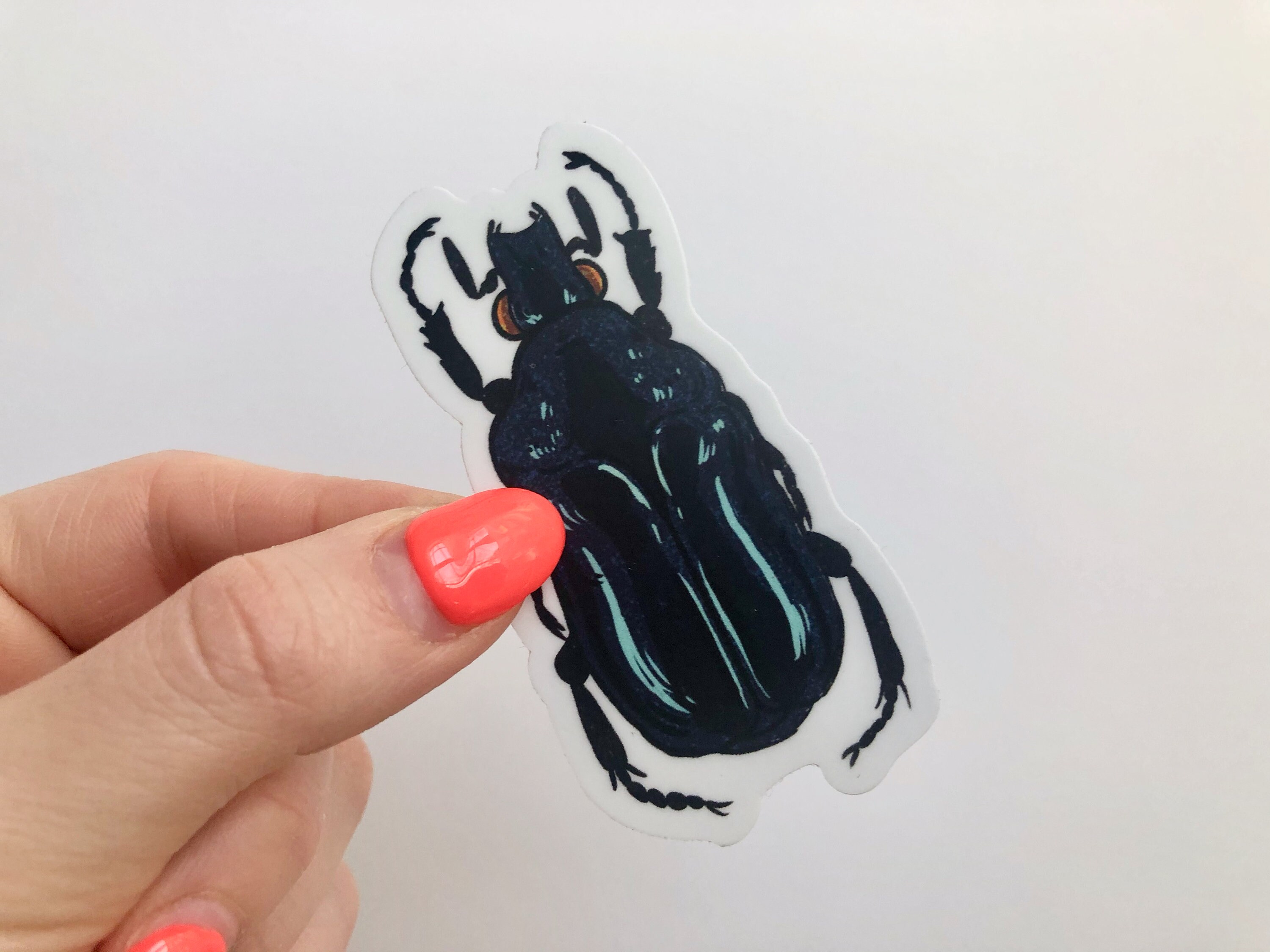 Black Beetle Sticker Galactixy Illustrations Collab High | Etsy