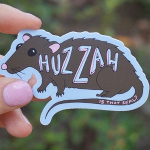 Vine Sticker HUZZAH is That Real Rat Vine Funny Vine Quote Waterproof ...