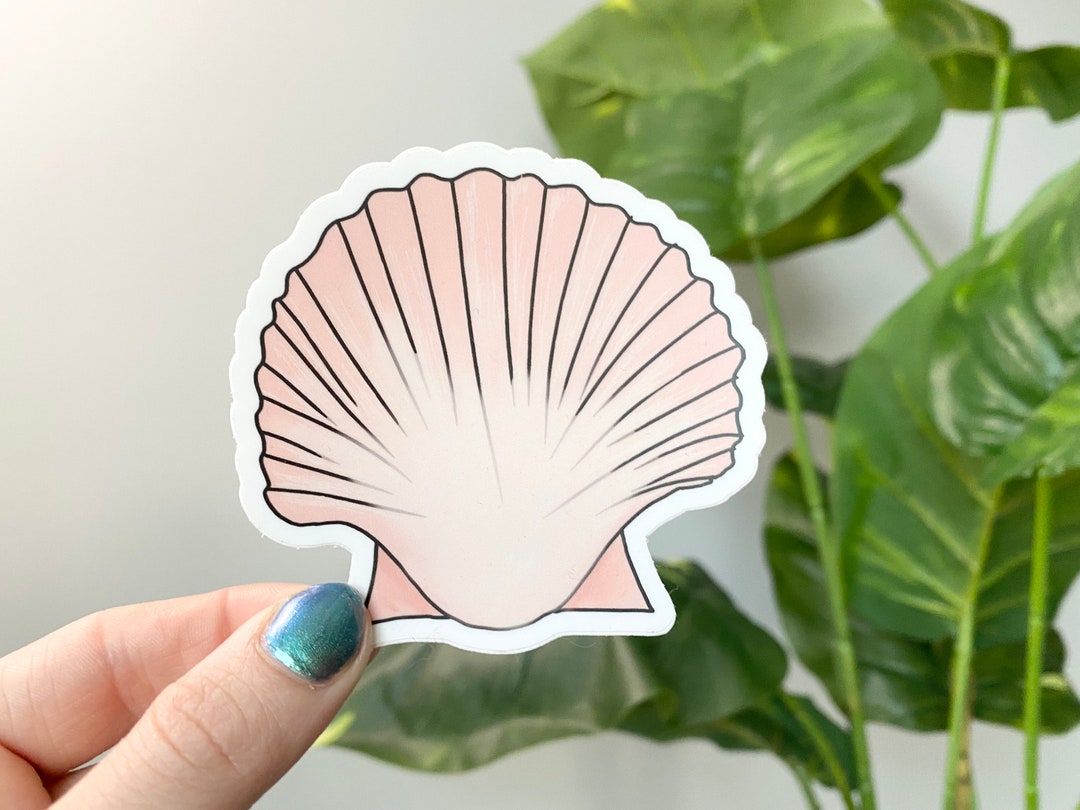 Seashell Sticker, Beachy Sticker, VSCO Sticker, Stickers, Cute Shell ...