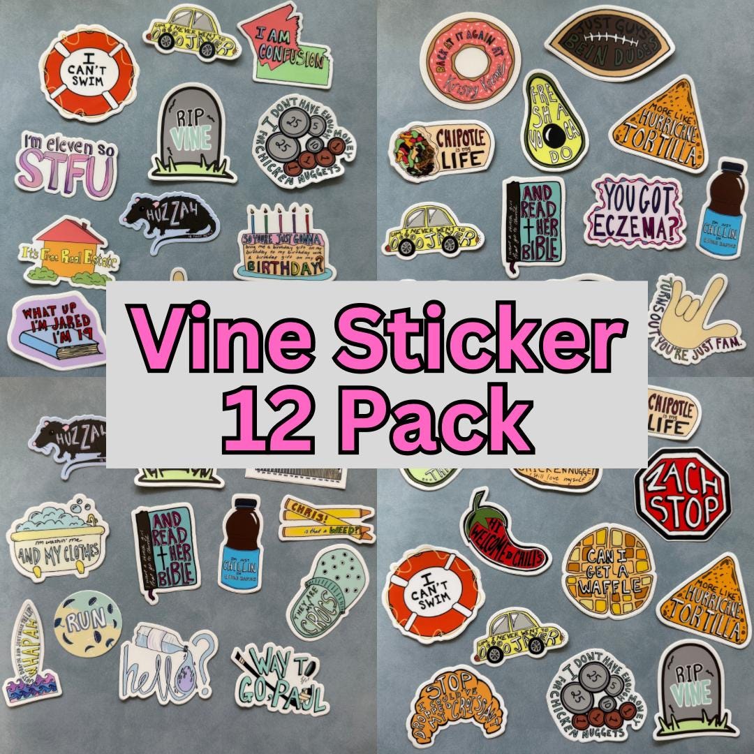 Funny Vine Quote Stickers - Waterproof Vinyl Laptop/water Bottle 12 ...