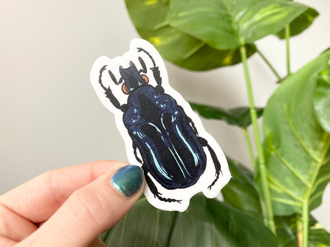 Black Beetle Sticker - Galactixy Illustrations Collab - High Quality ...