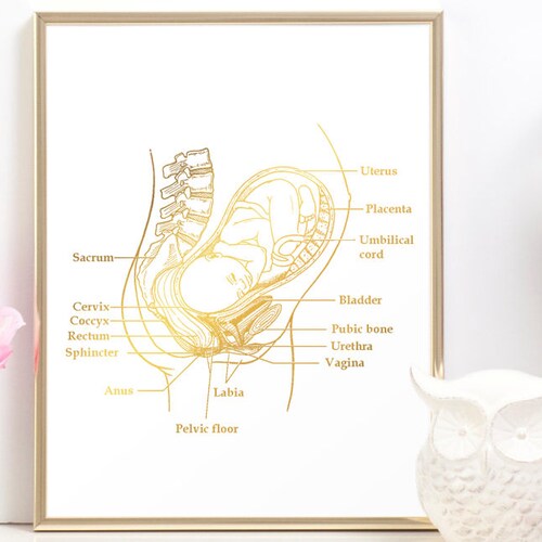 Midwife T Doula Birth Art Gold Foil Print Obgyn Ts Etsy