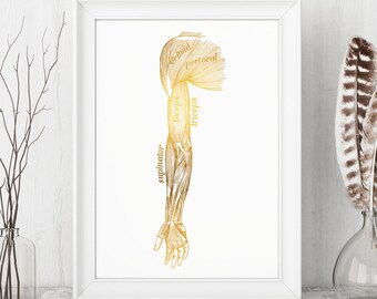 Physical therapy art | Etsy