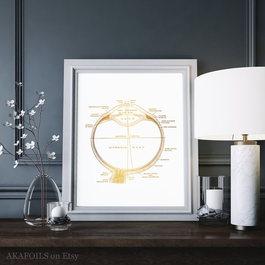 Ophthalmology Optometrist Gift Gold Foil Print Optometry | Etsy