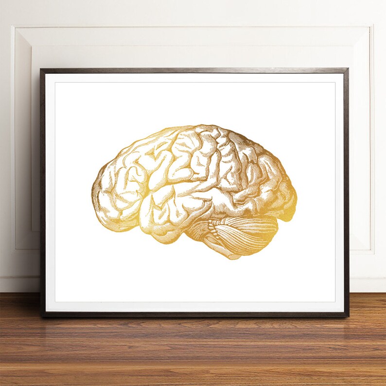 Brain Art Science Art Print Gold Foil Print Brain Anatomy - Etsy