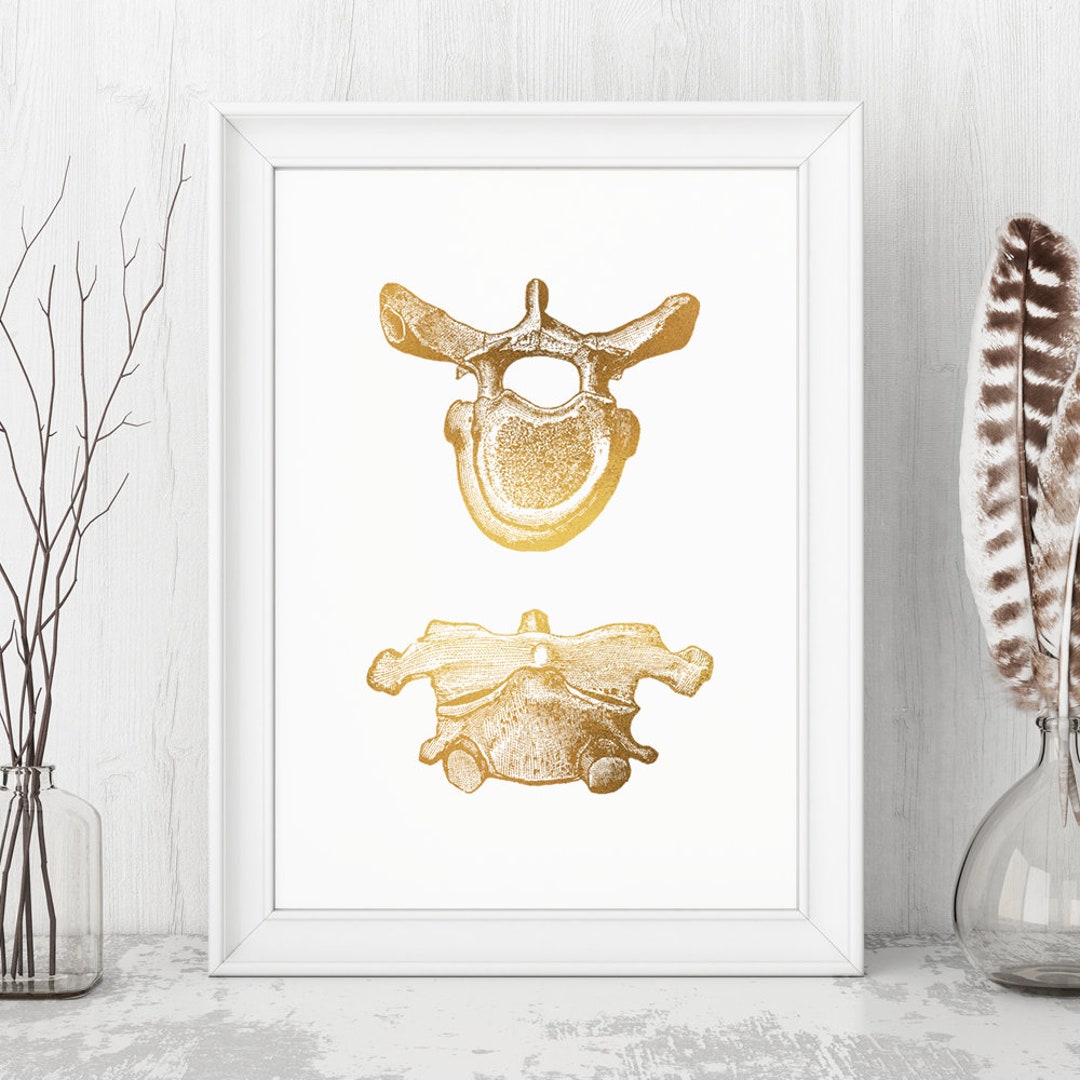 Chiropractic Wall Art Chiropractic Posters Chiropractor - Etsy