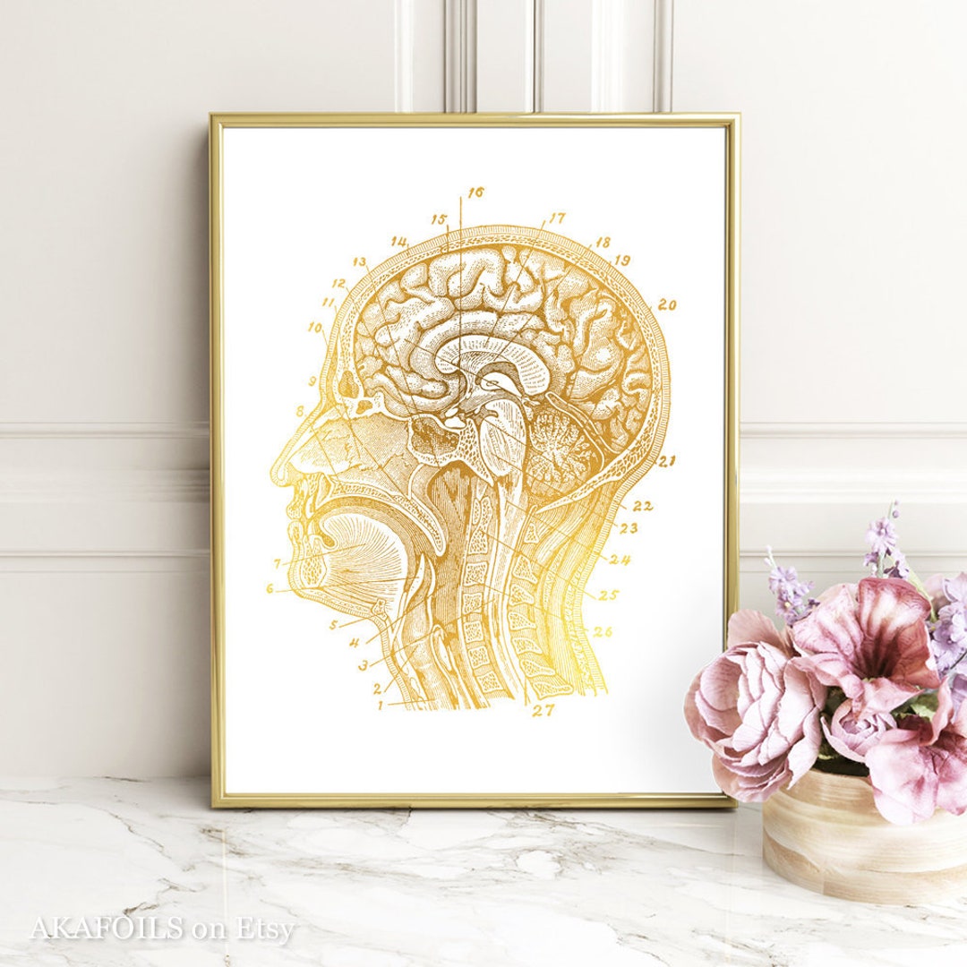 Greys Anatomy Gifts for Doctor - Gold Foil Print, Neuroscience Brain ...