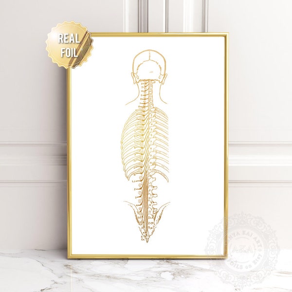 Chiropractic Poster - Etsy