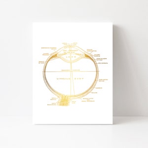 Ophthalmology, Optometrist Gift, Gold Foil Print, Optometry Office, Optometrist Office ...