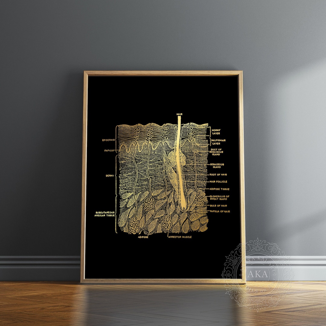 Skin Anatomy Art Dermatologist Gift Foil Print - Skin Care Anatomy ...
