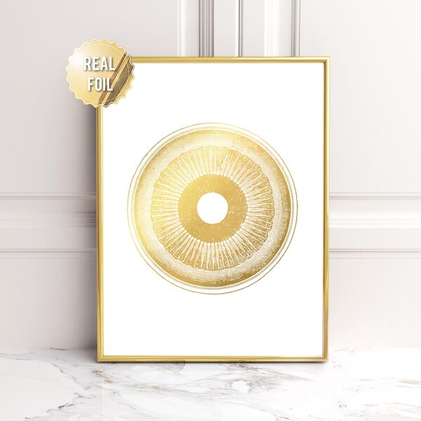 Optometry Decor - Etsy