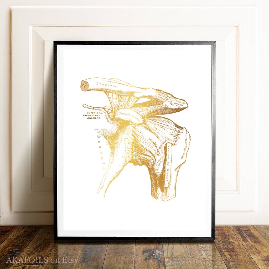 Gold Foil Print Anatomy Orthopedic Surgeon Gift Greys - Etsy