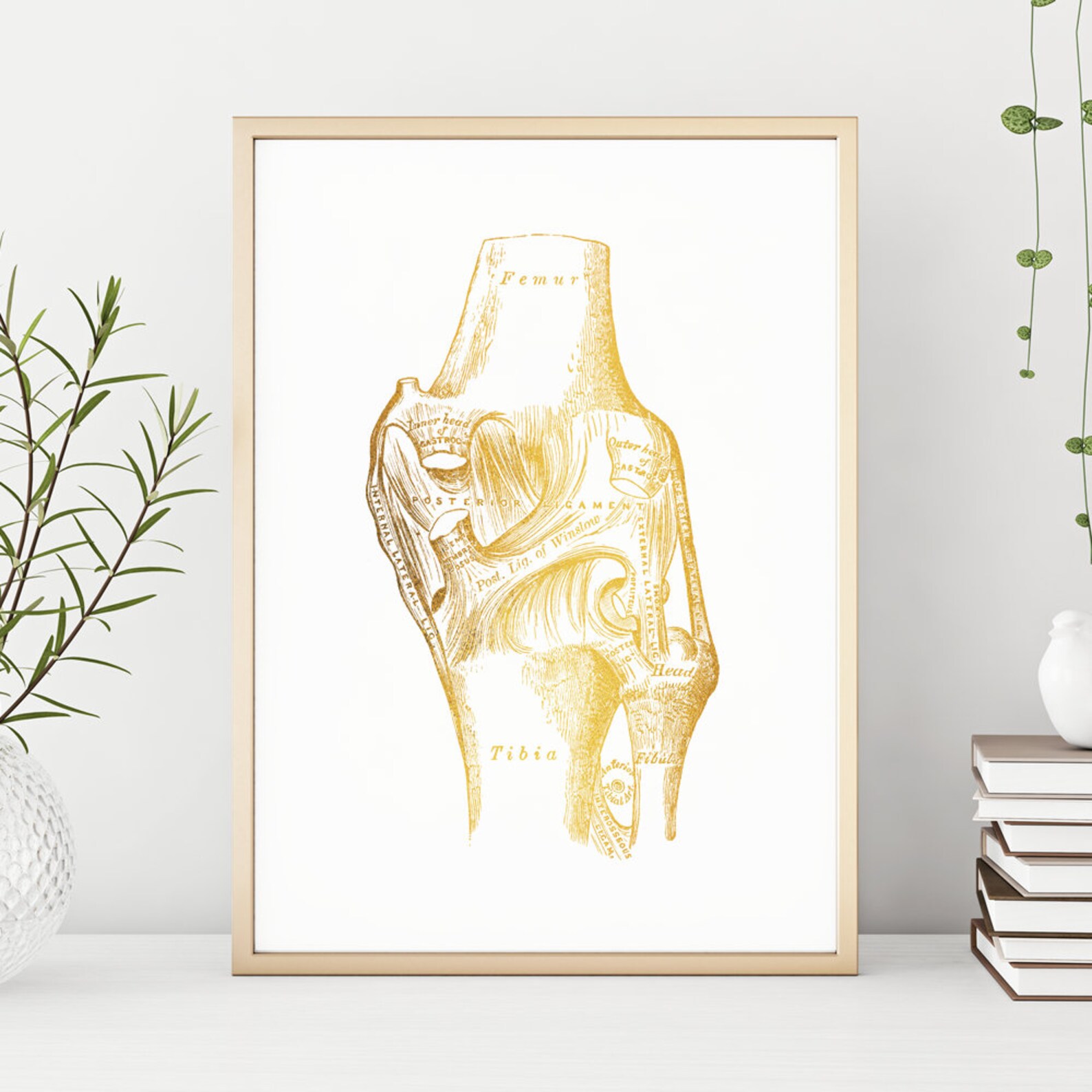 Orthopedic Surgeon Gift Orthopedic Medicine Anatomy Art | Etsy