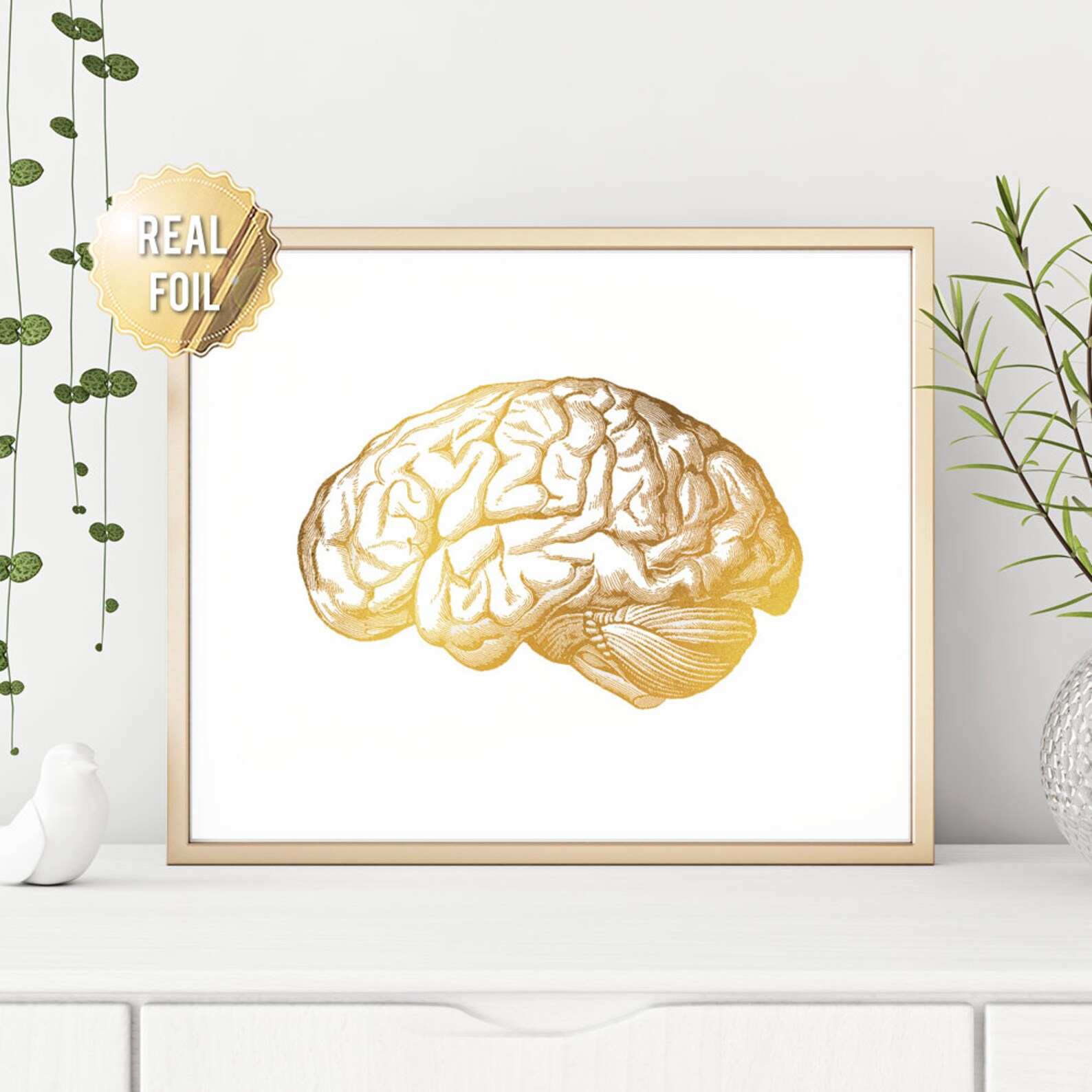 Brain Art Science Art Print Gold Foil Print Brain Anatomy - Etsy