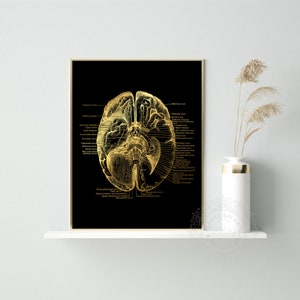 Human Brain Anatomy Medical Student Gift Gold Foil Print - Doctors ...