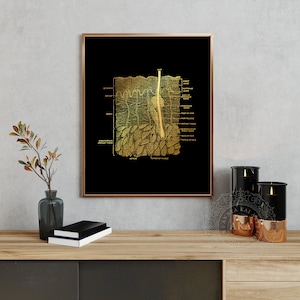 Skin Anatomy Art Dermatologist Gift Foil Print - Skin Care Anatomy ...
