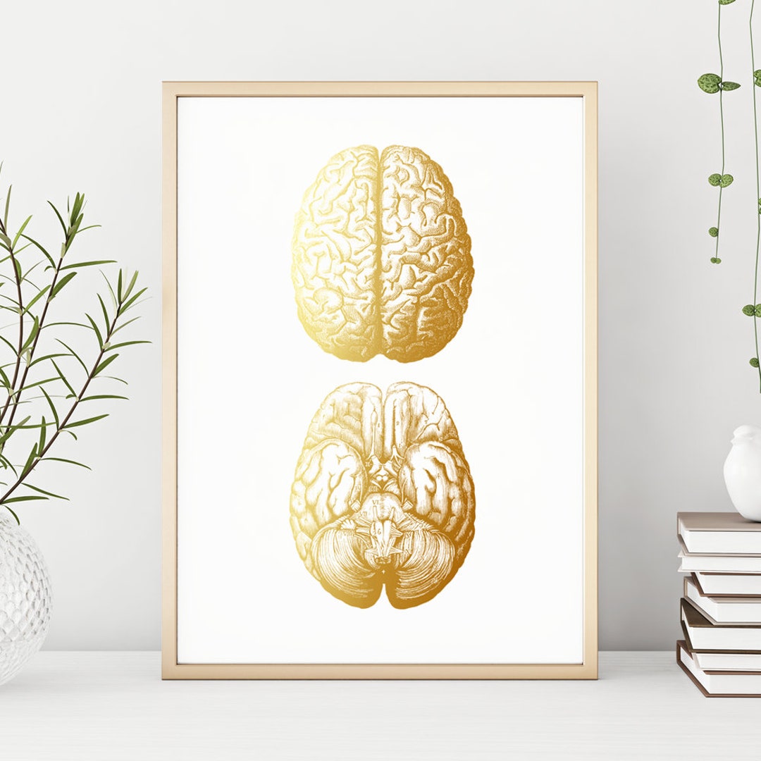 Brain Art Psychology Gift Real Gold Foil Brain Art Print - Etsy