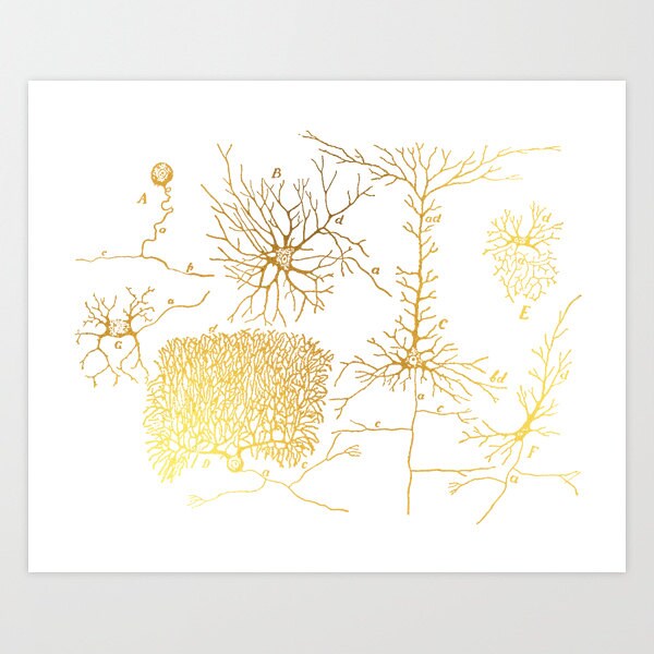 Neuron Art Neuroscience Art Gold Foil Print Gift for Medical | Etsy