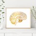 Neuroscience Gift - Neurosurgeon Gift - Brain Anatomy Print - Gold Foil ...
