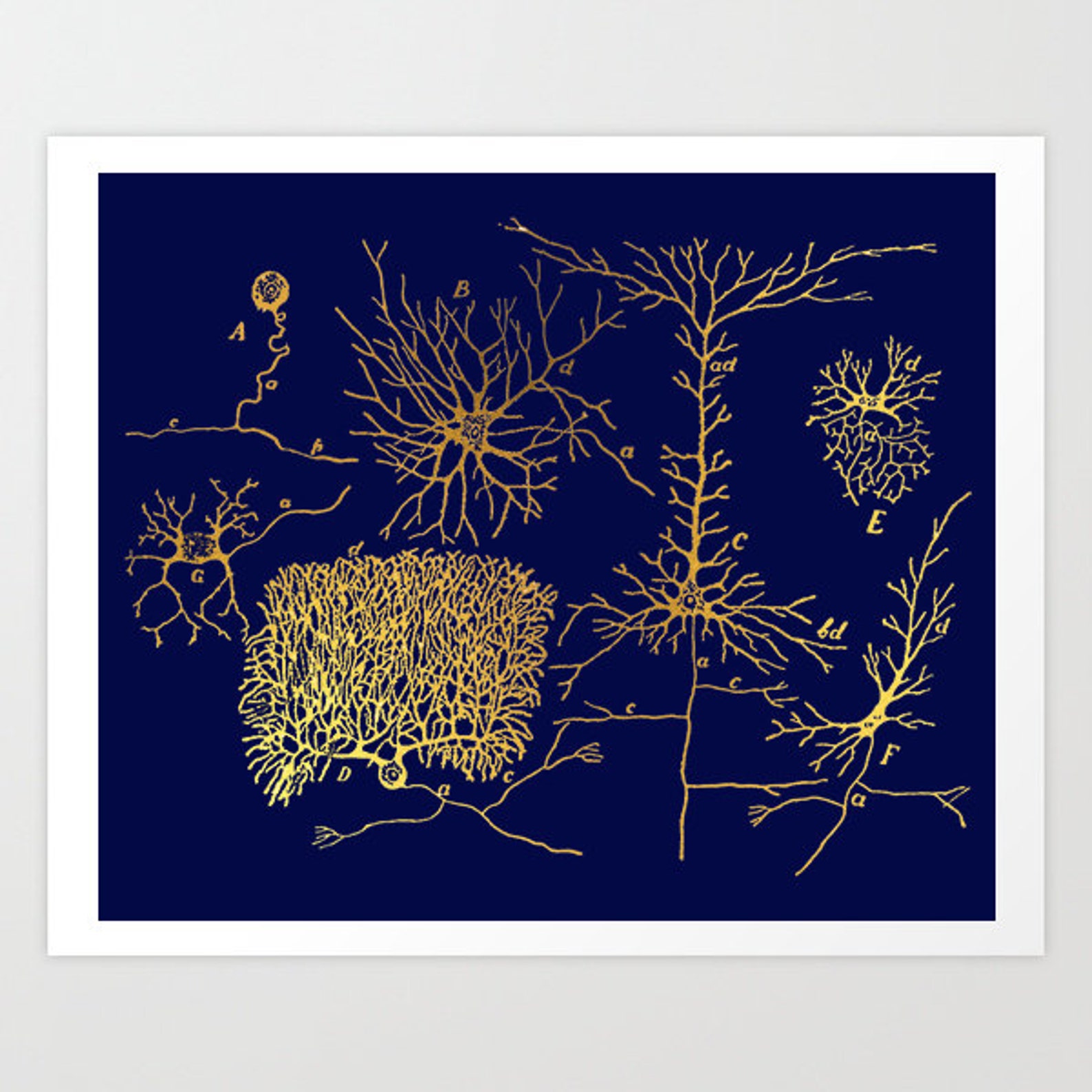 Neuron Art Neuroscience Art Gold Foil Print Gift for Medical | Etsy