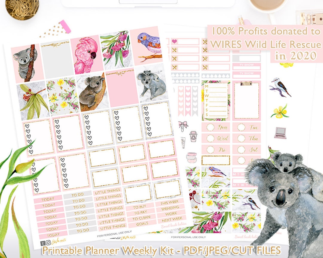 Australian Bush Animals, Australian Bush Babies Weekly Kit, Cockatoo ...