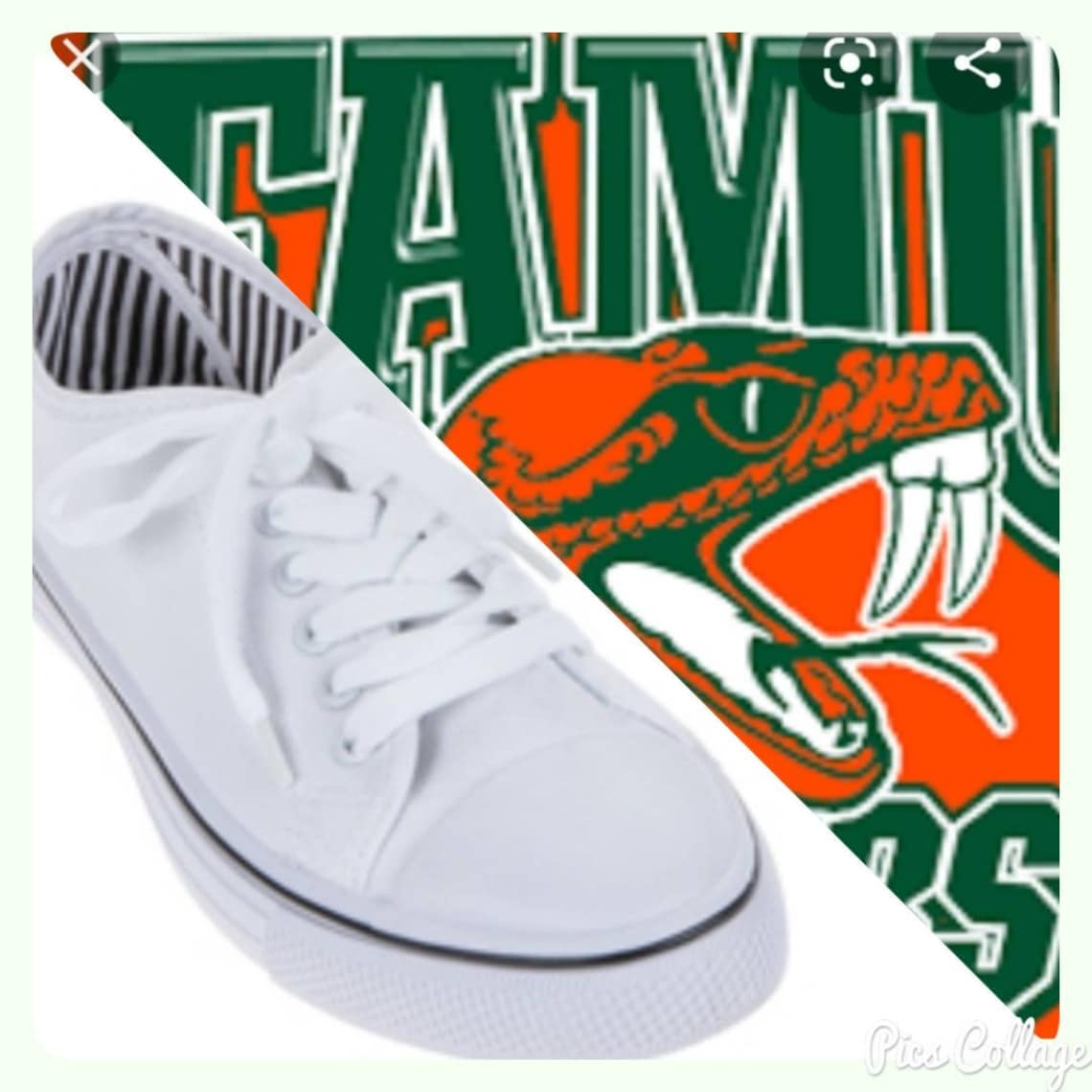 FAMU Personalized Gameday Shoes - Etsy