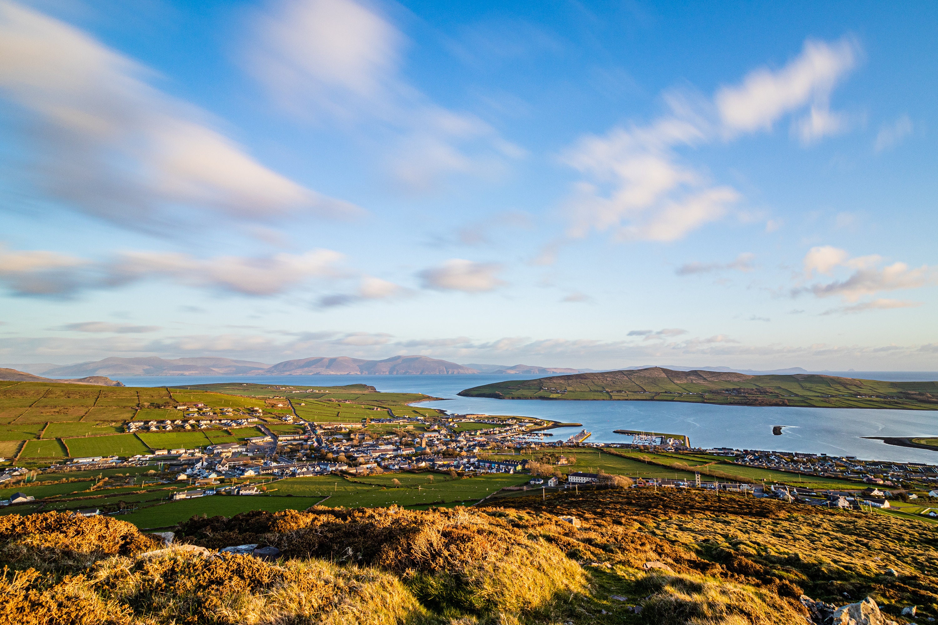 Dingle/daingean Uí Chúis Town and Harbour Vista Taken From Cnoc a Cairn ...