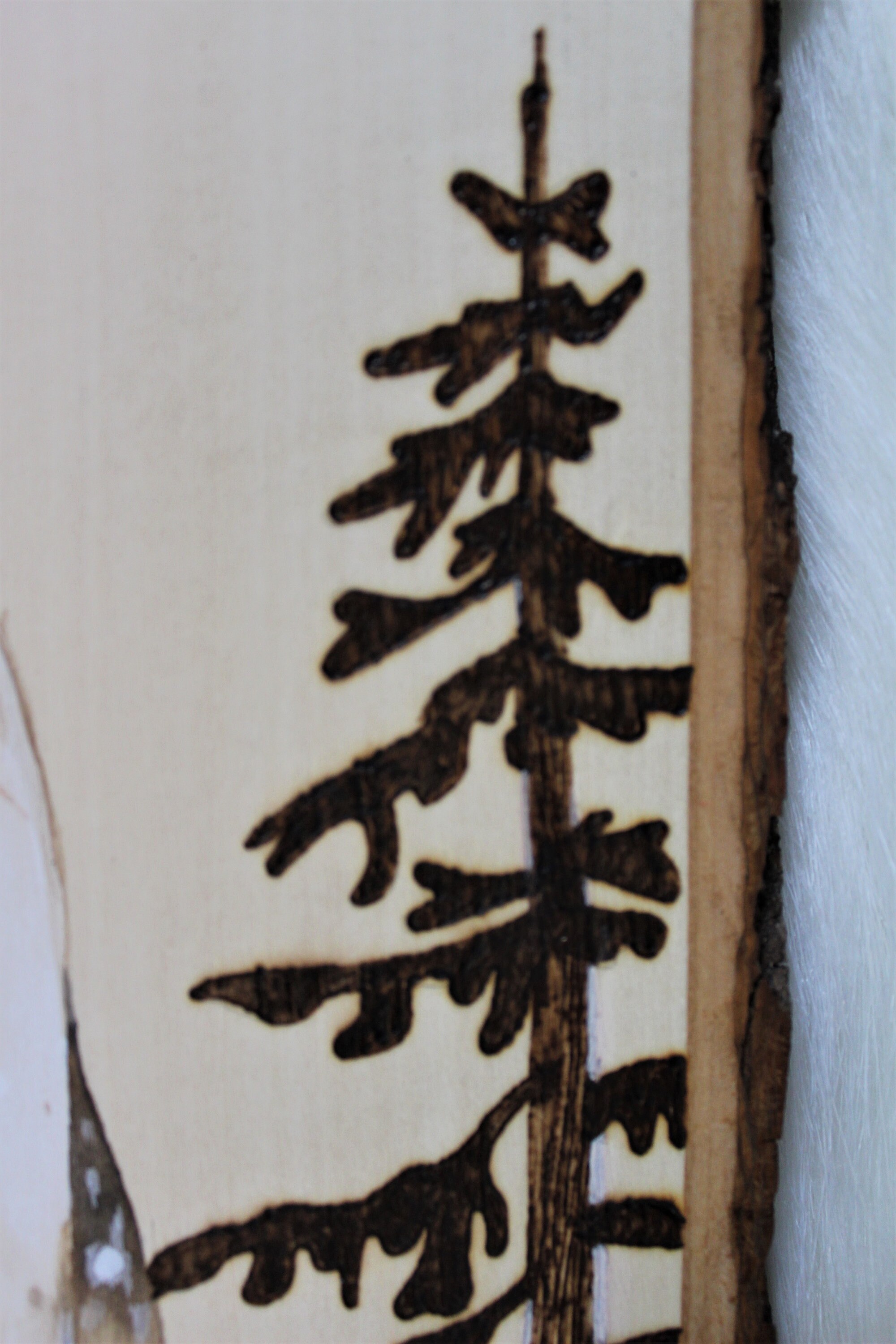 Handpainted Wood Burned Owl Barn Owl Art Painting on Wood - Etsy