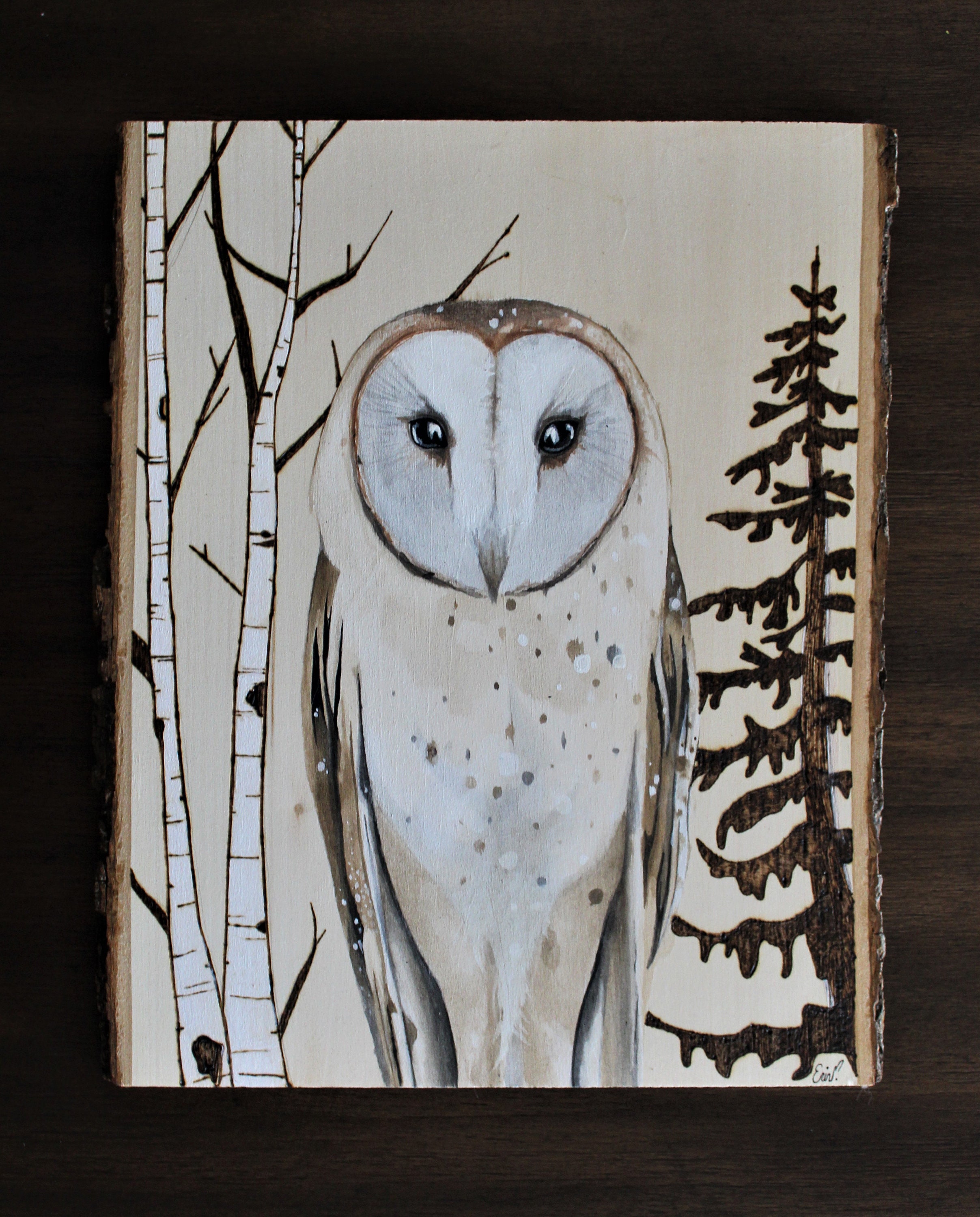 Handpainted Wood Burned Owl Barn Owl Art Painting on Wood - Etsy
