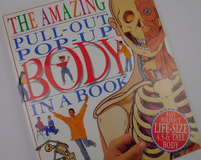 Pull-out Pop-up Body in A Book, Paper Engineering, David Hawcock ...