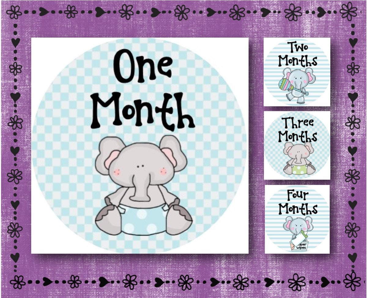 Milestone Monthly Stickers BLUE Baby Elephants Months 1-12 2.5 Round ...
