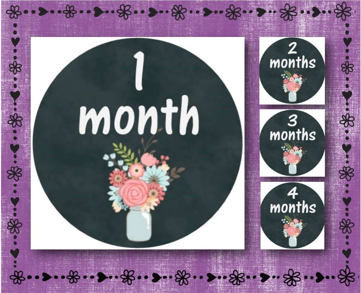 Milestone Monthly Stickers Grey & Floral Months 1-12 2.5 Round Glossy ...