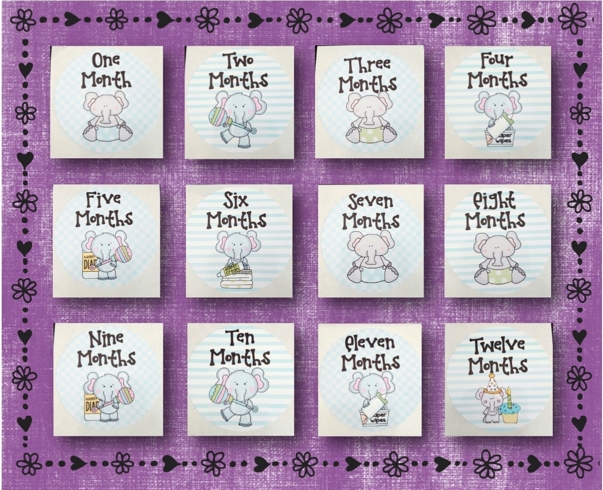 Milestone Monthly Stickers BLUE Baby Elephants Months 1-12 2.5 Round ...