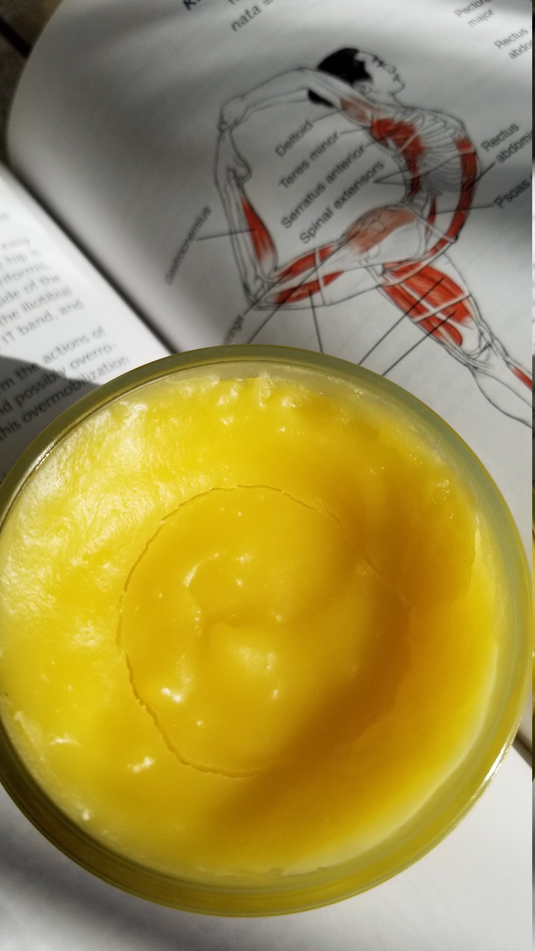 LAEKNA Anti-inflammatory Cream for Muscle, Joint and Ligament Pain ...