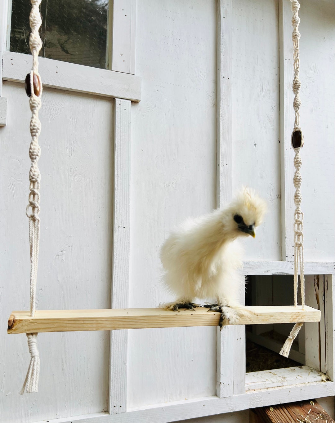 Macrame Chicken Swing - Etsy