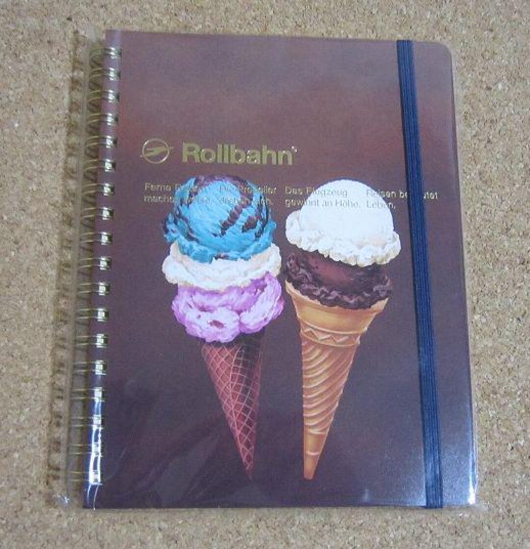 DELFONICS Rollbahn Grid Notebook Large Size Made in Japab Ice Cream - Etsy