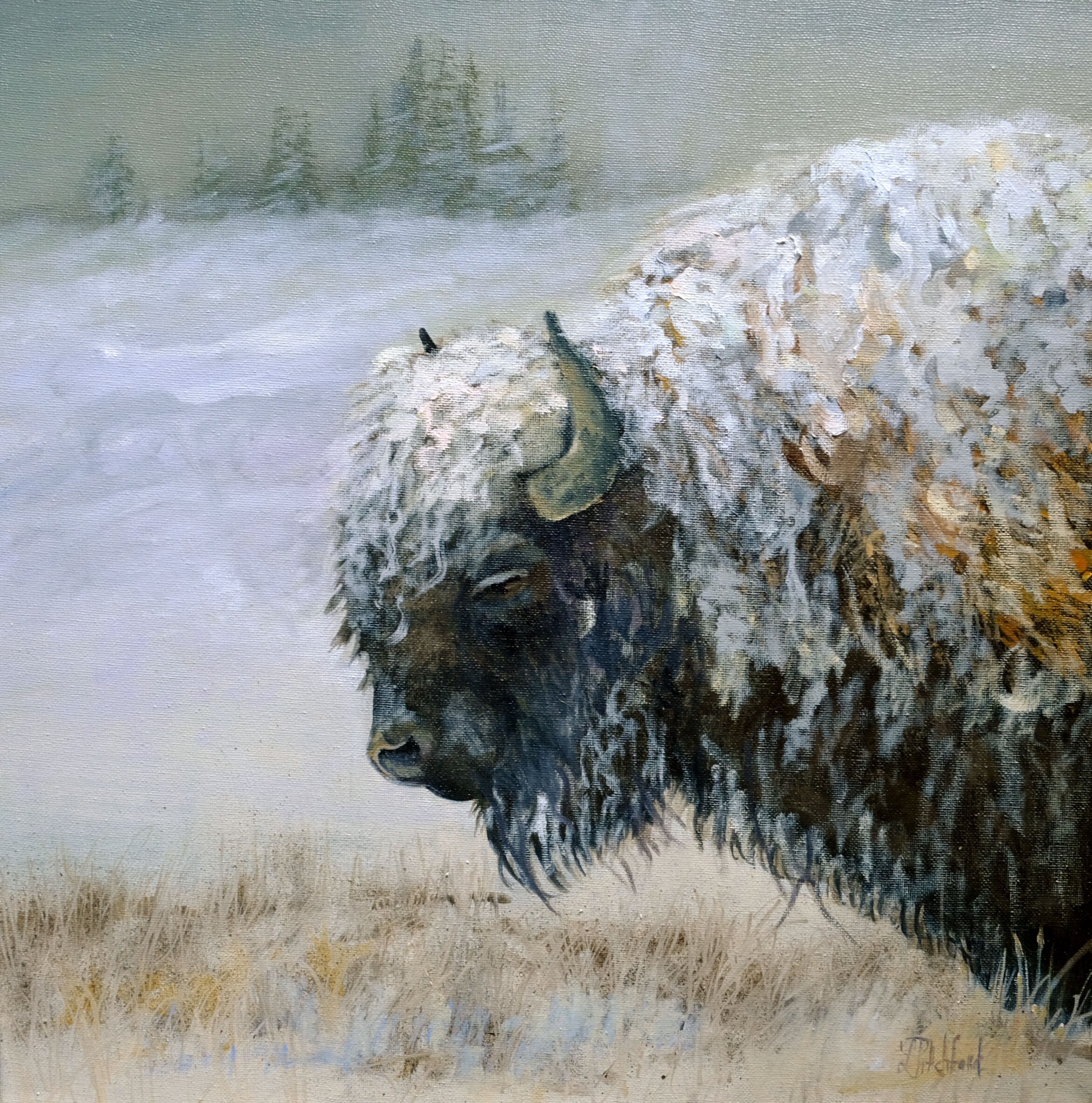 Custom Oil Paintings Commissioned Art Work Custom Portraits Pet ...