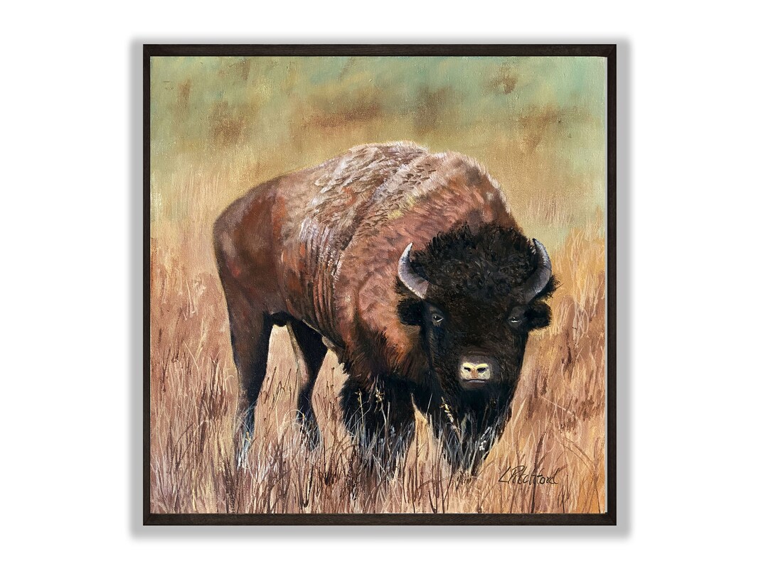 Original Painting of a Buffalo in Oil on Canvas 16 X 16 Inches - Etsy