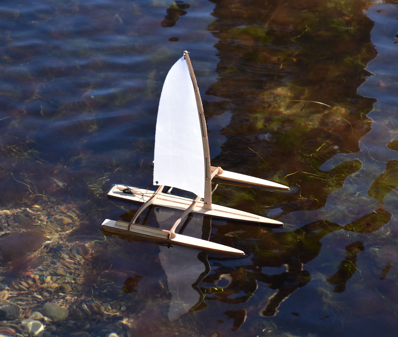 Model Trimaran Sailboat, Model Boat Kit, Pond Yacht, Model Boat That ...