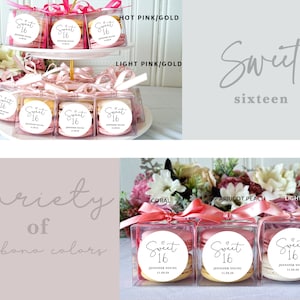 10 Sets of Sweet 16 Birthday Favors Clear Macaron Box Ribbon Label Set ...