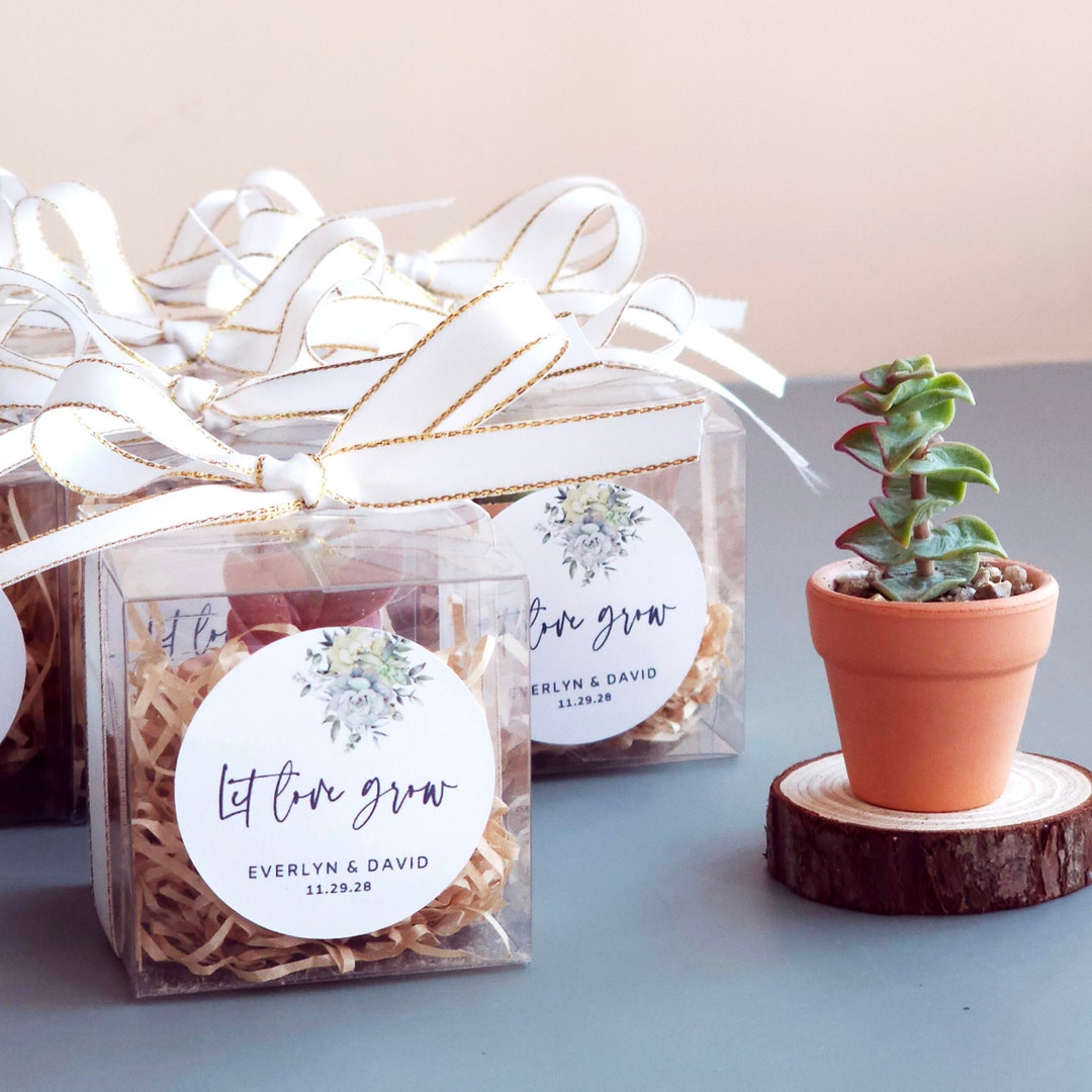 10 Sets of Succulent Clear Box Packaging Watch Me Grow Baby - Etsy